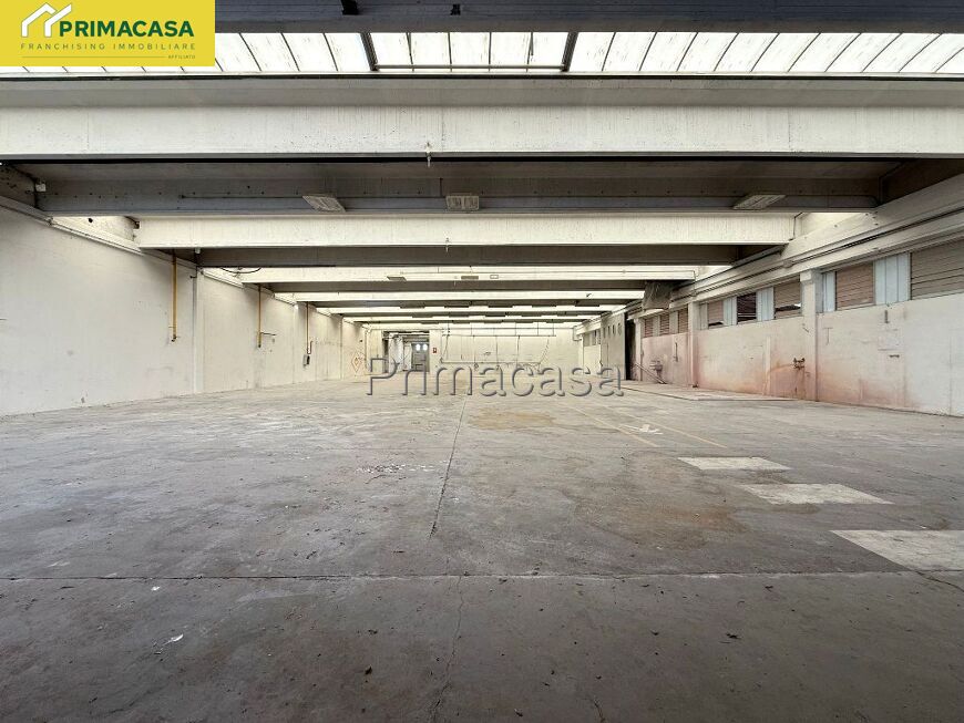 1005 | Capannone Zimella