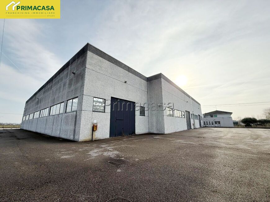 1005 | Capannone Zimella